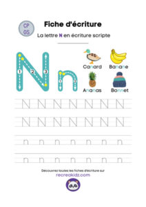 Lettre N | Écriture minuscule / majuscule en script & cursive (attaché ...