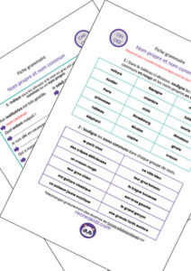 Exercices Nom Propre Nom Commun CE1 - CE2 - CM1 - CM2 à imprimer en PDF ...