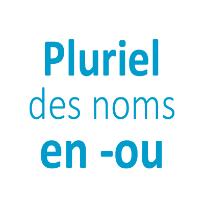 Exercices Le Pluriel des Noms en -ou CE1 CE2 CM1 CM2 à imprimer en PDF ...