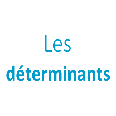 Exercices Les Déterminants CE1 - CE2 à imprimer en PDF gratuit ...