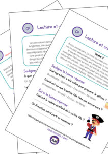 Lecture et compréhension de texte CP | Texte avec questions à imprimer en PDF