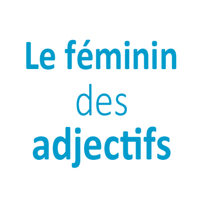 Exercices Le Féminin des Adjectifs CE1 CE2 CM1 CM2 à imprimer en PDF ...