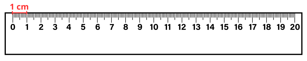 Mesurer avec une règle graduée CP - CE1 - CE2 | Exercices, évaluation ...